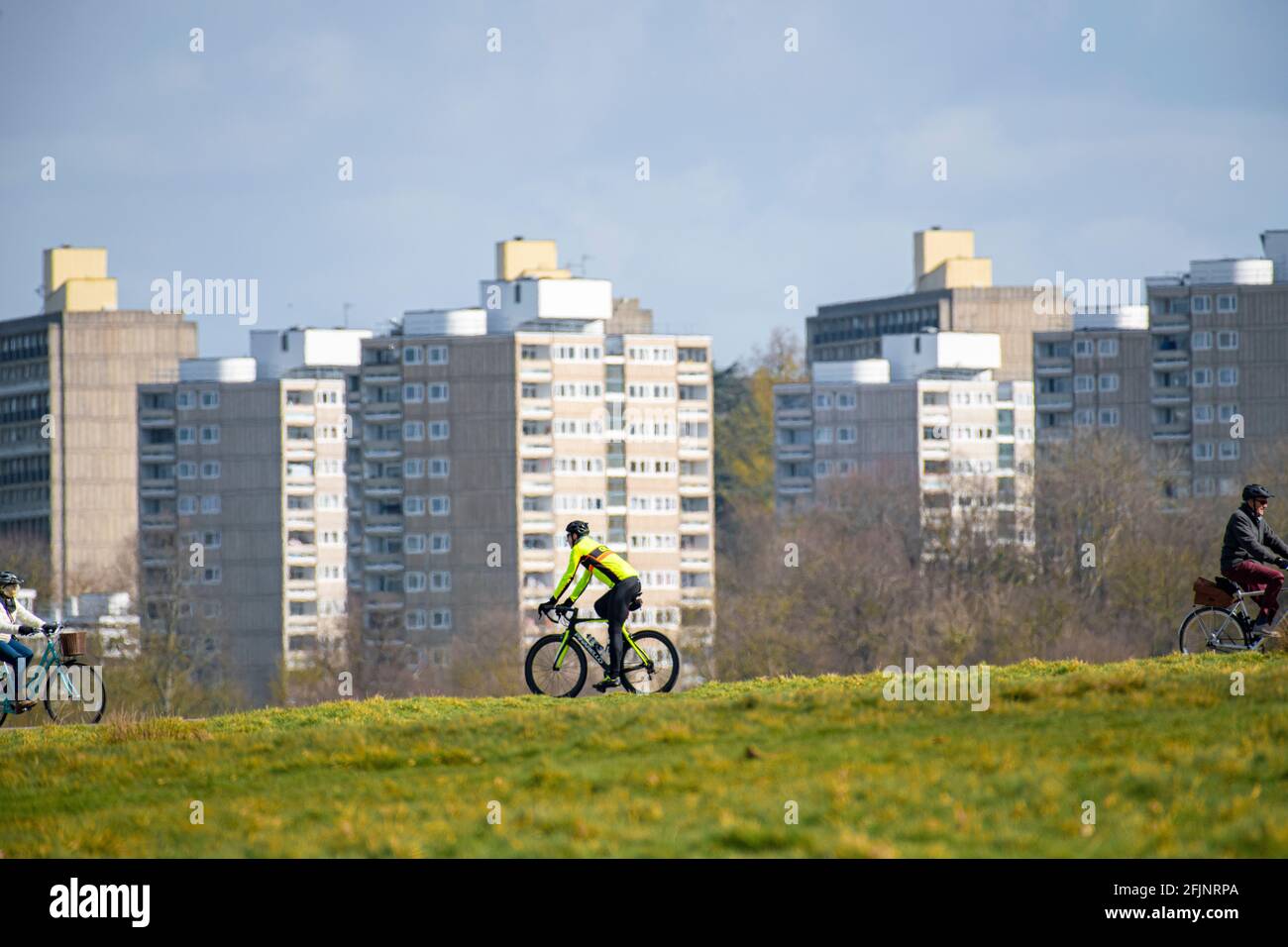 Richmond park tower blocks hi-res stock photography and images - Alamy