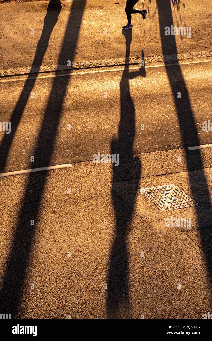 Summer afternoon shadow top view hi-res stock photography and images ...