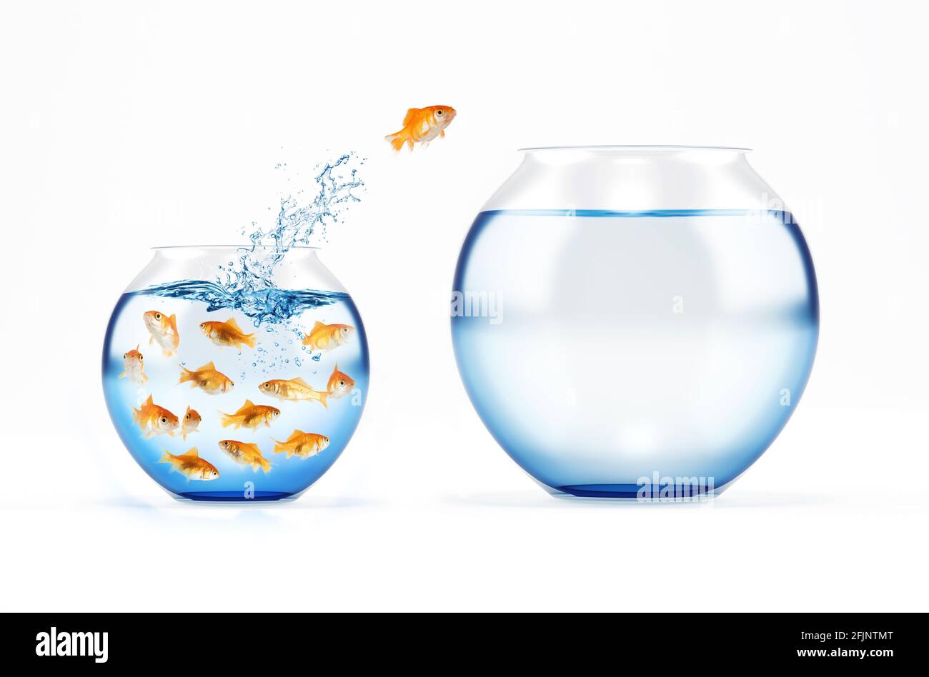 Red fish jumps from a full of fishes cruet to an empty and bigger one ...