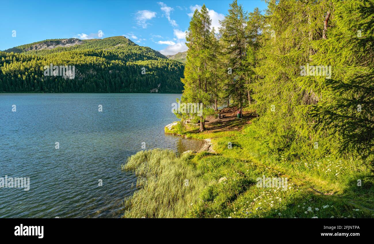 Scenic lakeside BBQ site at Chaste Peninsula at Lake Sils in summer ...