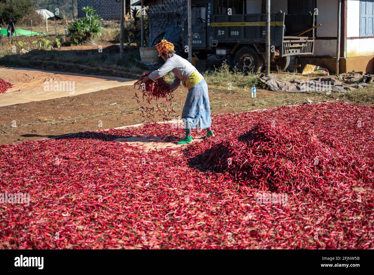 Burmese red pepper hi-res stock photography and images - Alamy