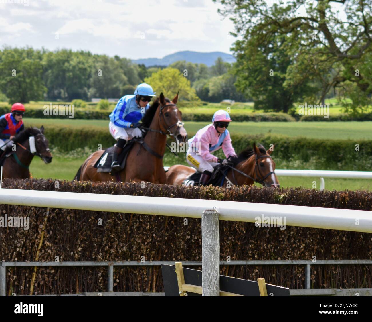 Bookie point races hi-res stock photography and images - Alamy