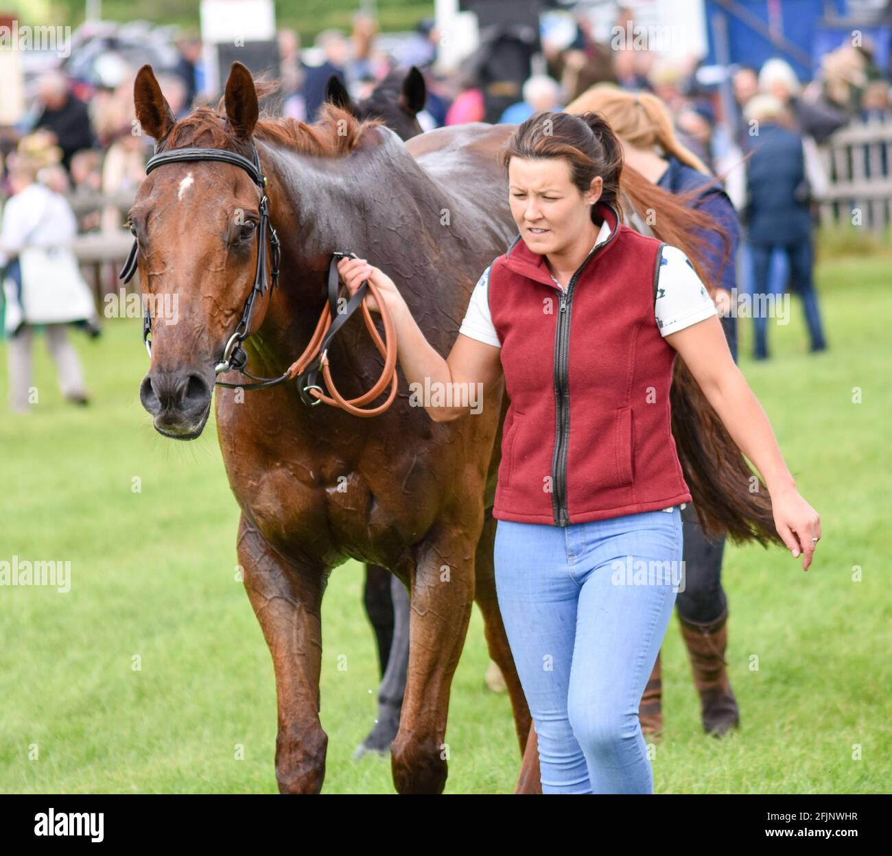 Bookie point hi-res stock photography and images - Alamy