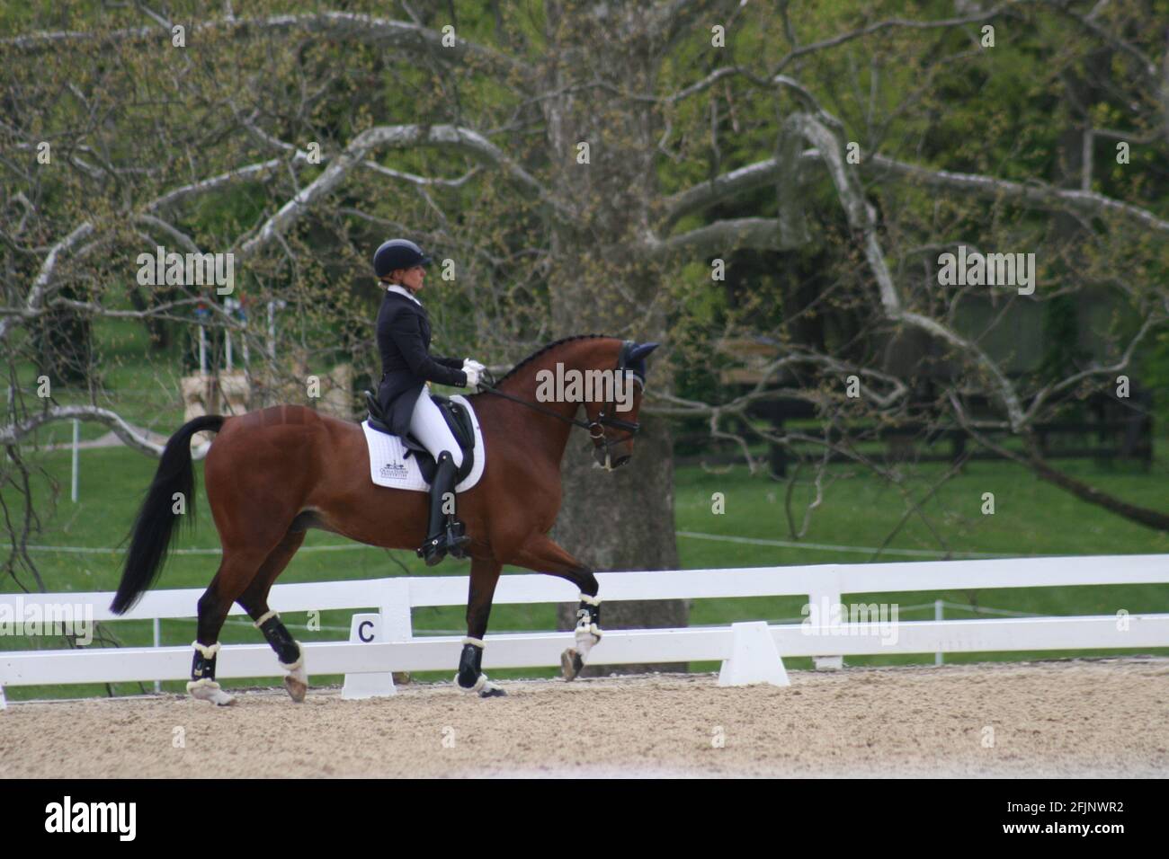 Kentucky Horse Park Three Day Event 2021. During the Dressage Event ...