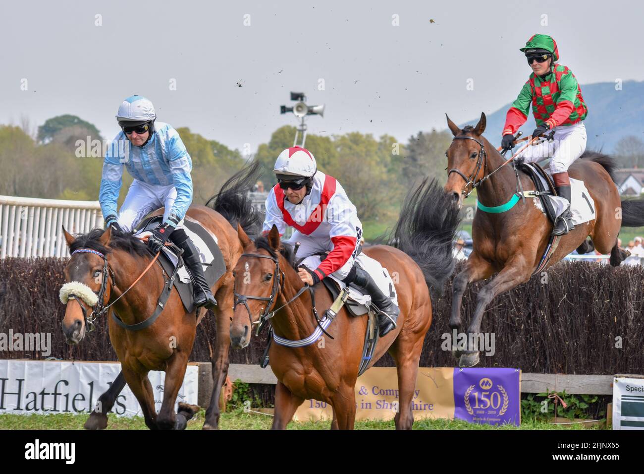 Eyton Races on a beautiful Easter Monday, Horse Racing at its best ...