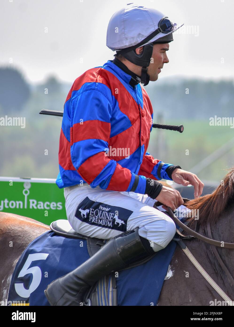 Beautiful racehorses hi-res stock photography and images - Alamy