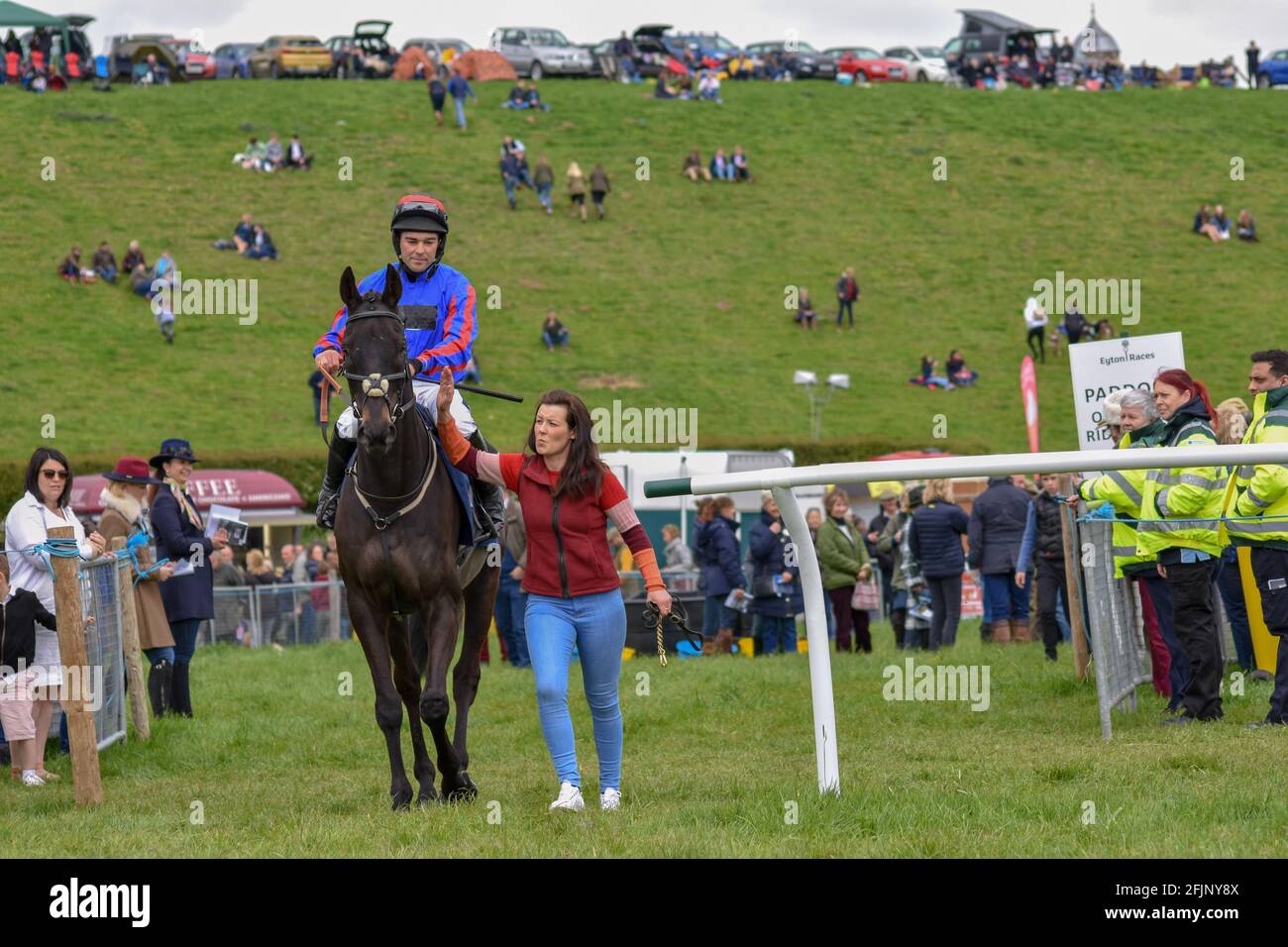 Thoroughbread racehorses hi-res stock photography and images - Alamy