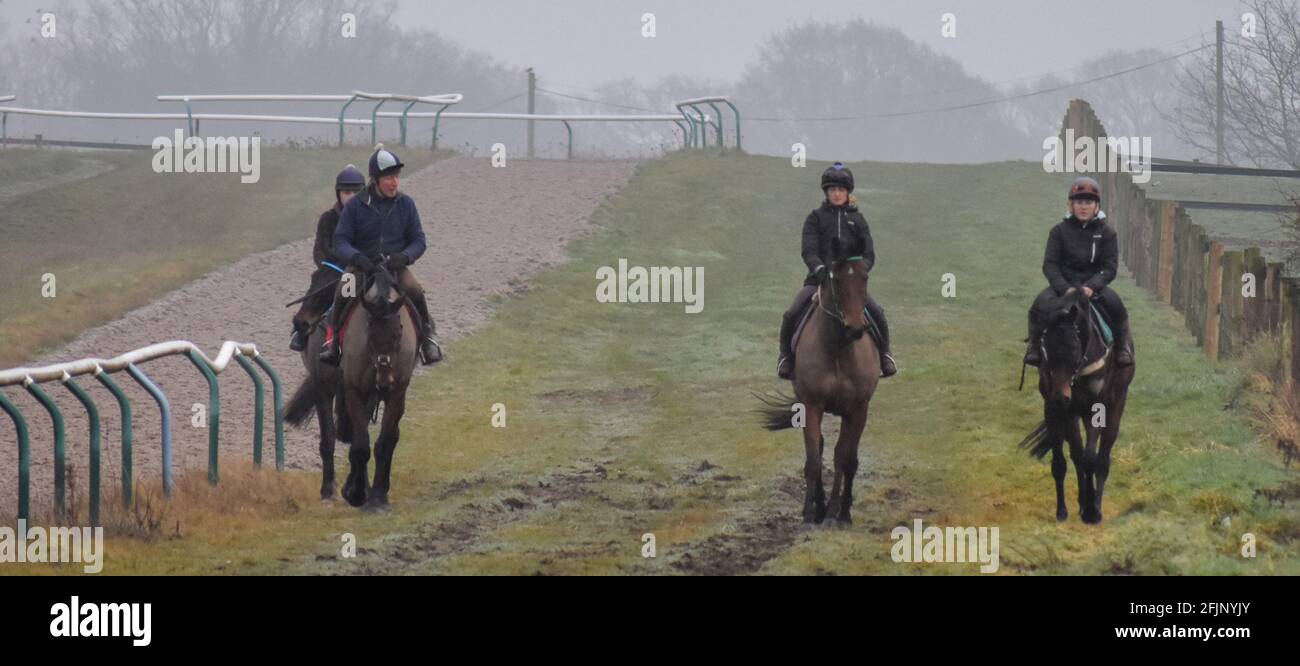 Behind the scenes of horse racing hi-res stock photography and images ...