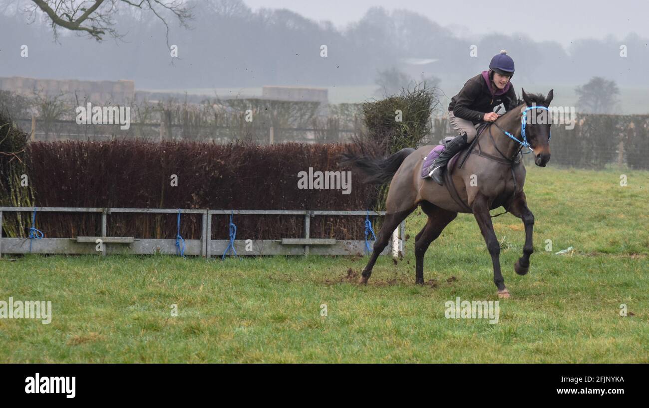 Horse Racing Stables, take a look behind the scenes of Horse Racing ...