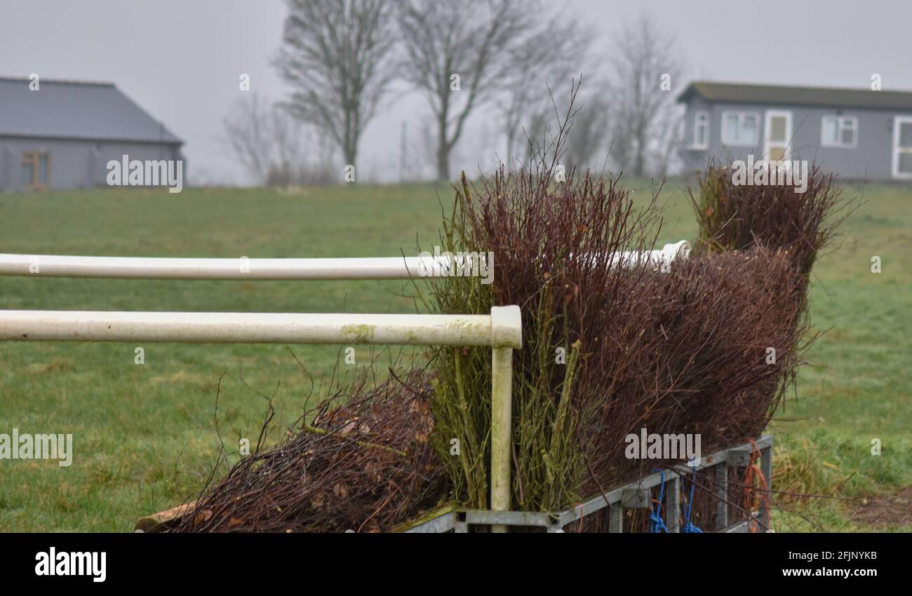 Horse Racing Stables, take a look behind the scenes of Horse Racing ...