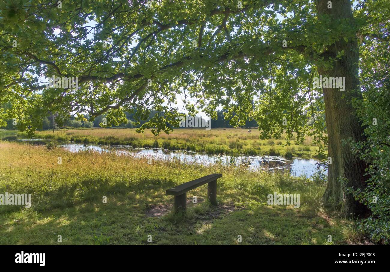 River pastoral landscapes hi-res stock photography and images - Alamy