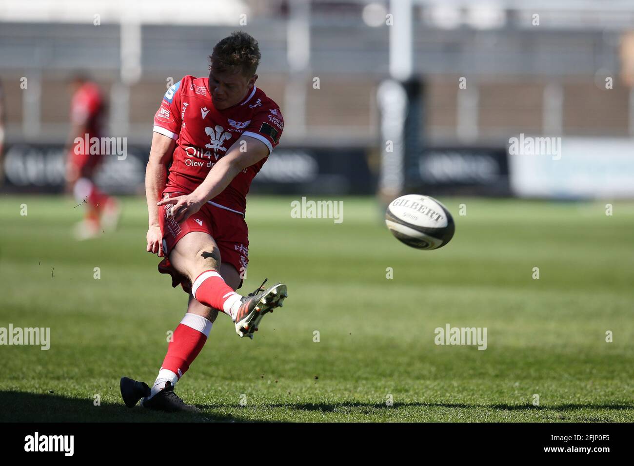 Sam costelow scarlets hi-res stock photography and images - Alamy