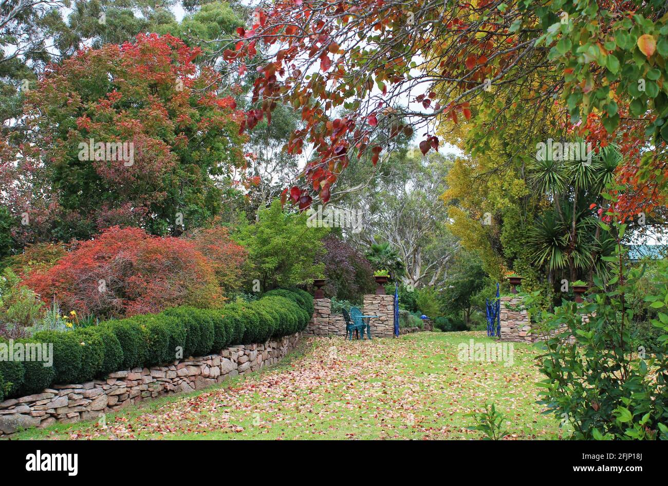 Tenterfield hi-res stock photography and images - Alamy