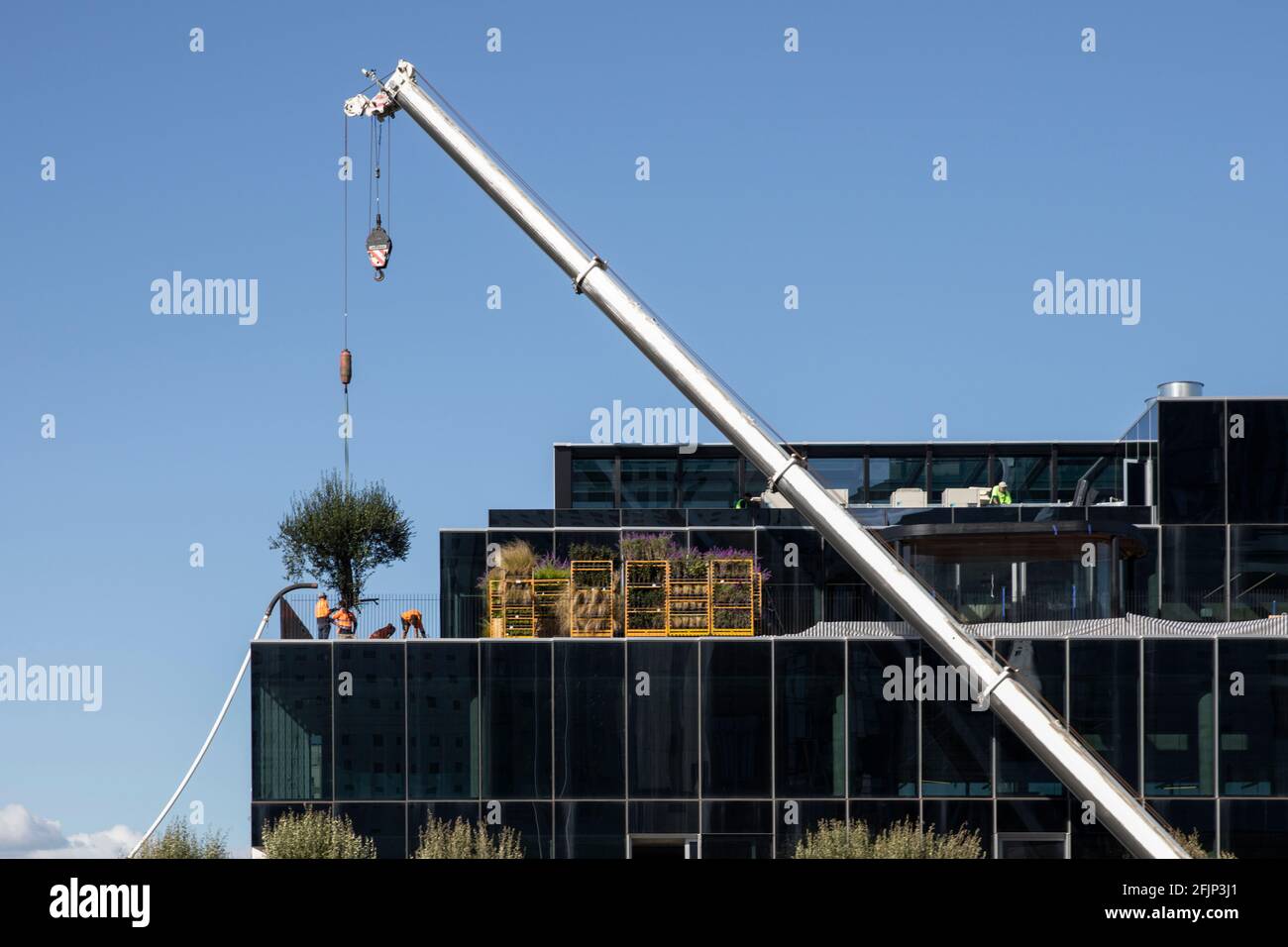 Lifting tree hi-res stock photography and images - Alamy