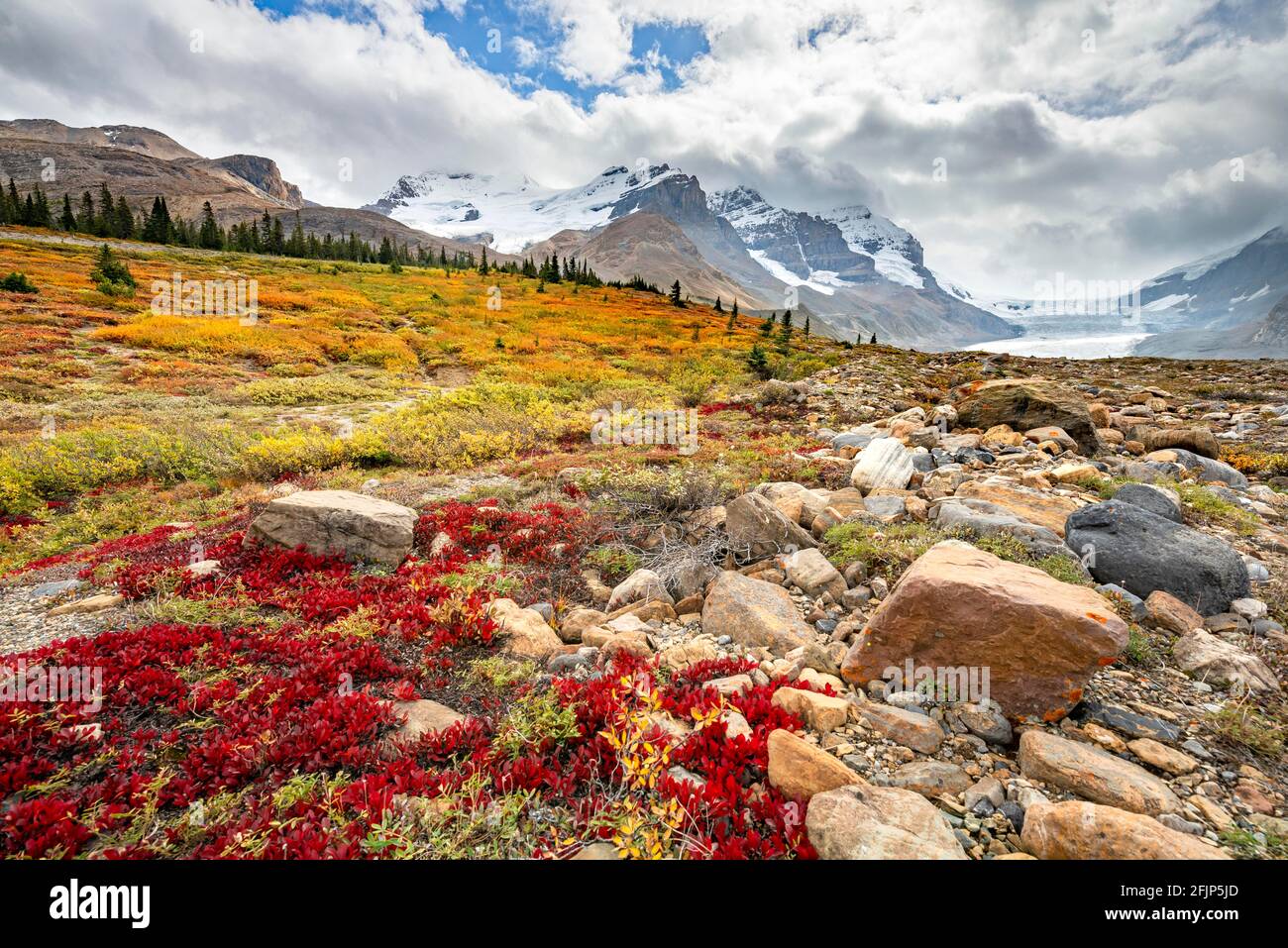Saskatchewan Mountains