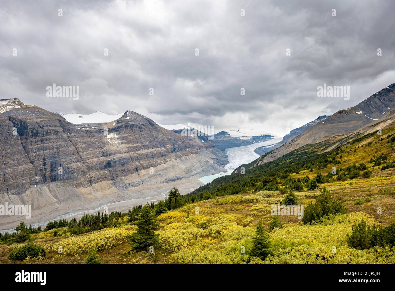View in valley with glacier tongue, Parker Ridge, Saskatchewan Glacier ...