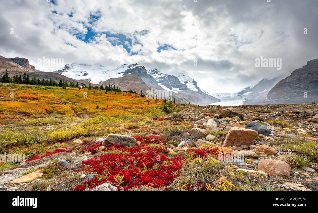 Saskatchewan landscape hi-res stock photography and images - Alamy