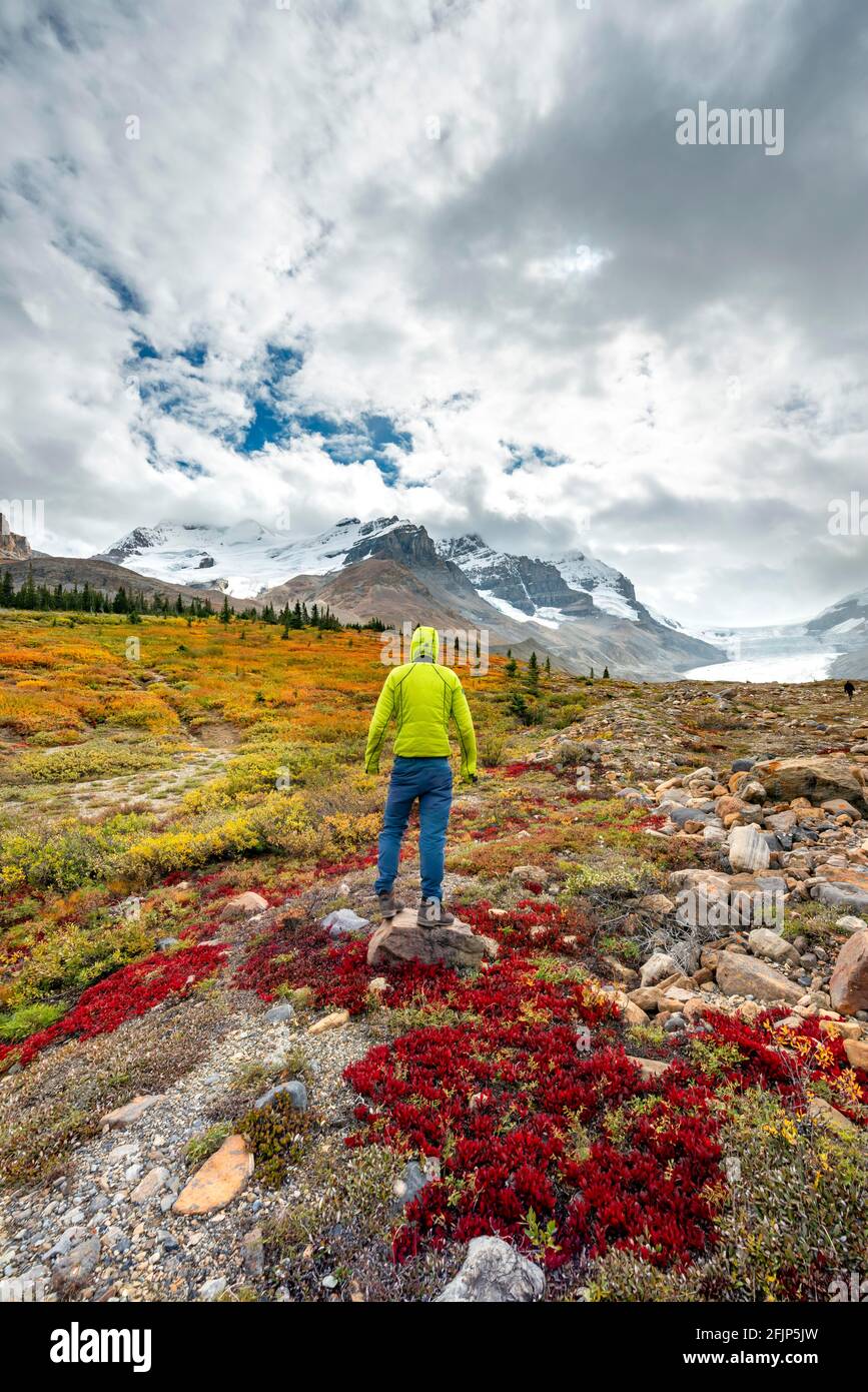 Young man standing in barren autumn landscape, glacier valley, Mount ...