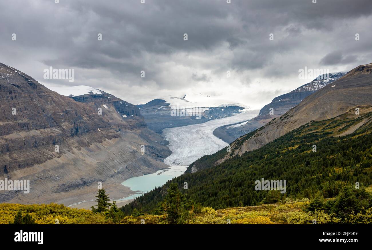 View in valley with glacier tongue, Parker Ridge, Saskatchewan Glacier ...