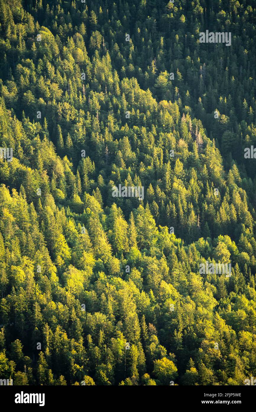 Look of experience hi-res stock photography and images - Alamy