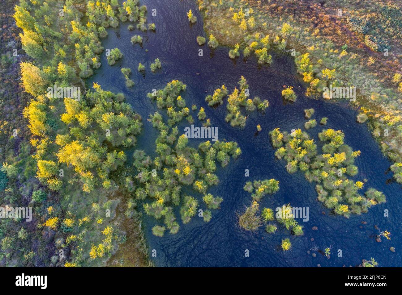 Neustaedter moor hi-res stock photography and images - Alamy