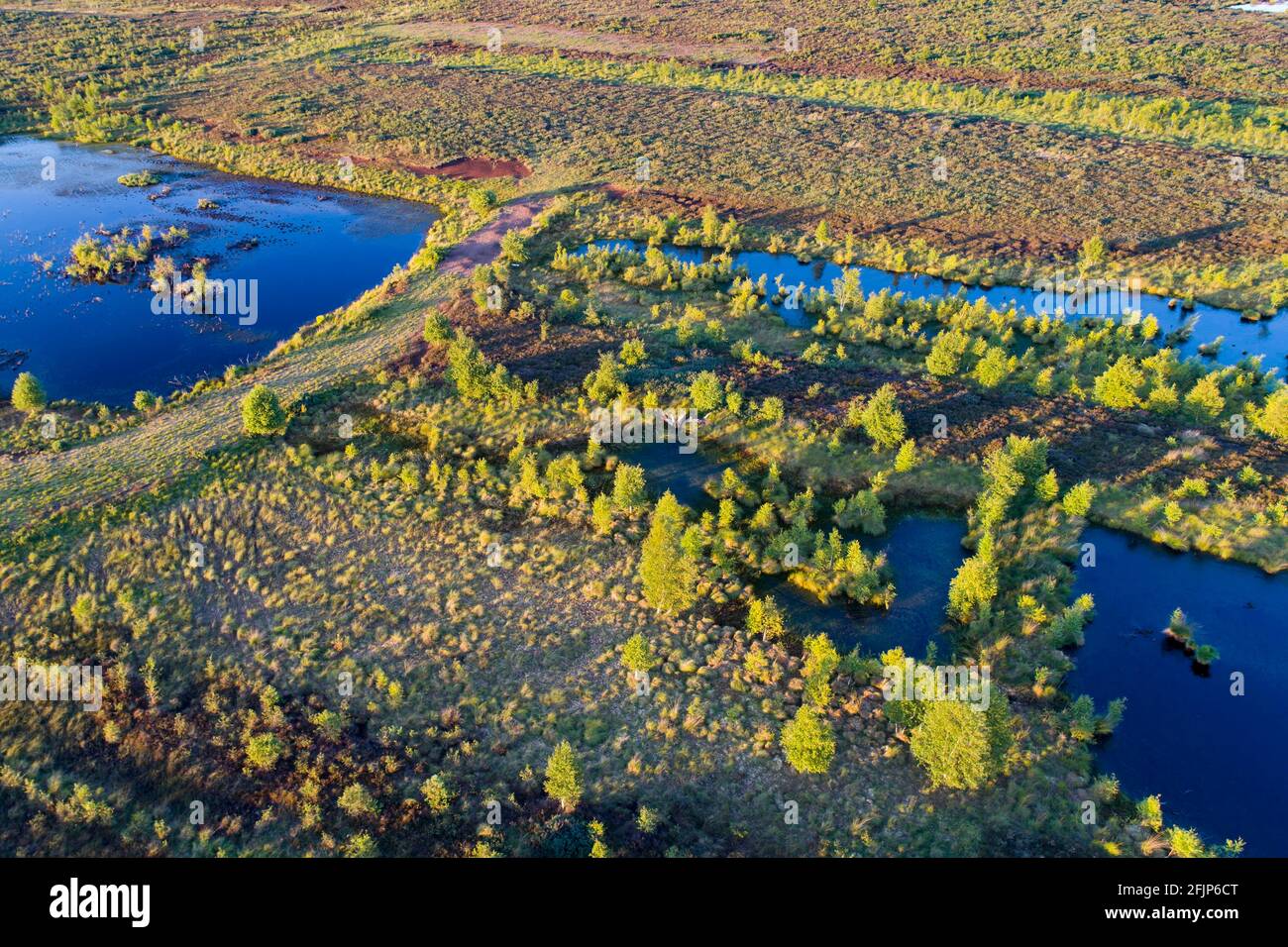 Neustaedter moor hi-res stock photography and images - Alamy