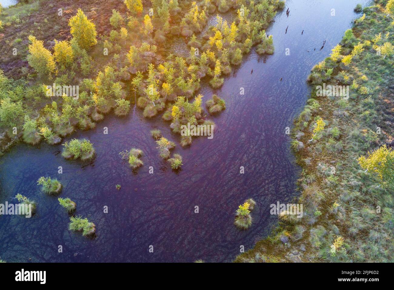 Neustaedter moor hi-res stock photography and images - Alamy