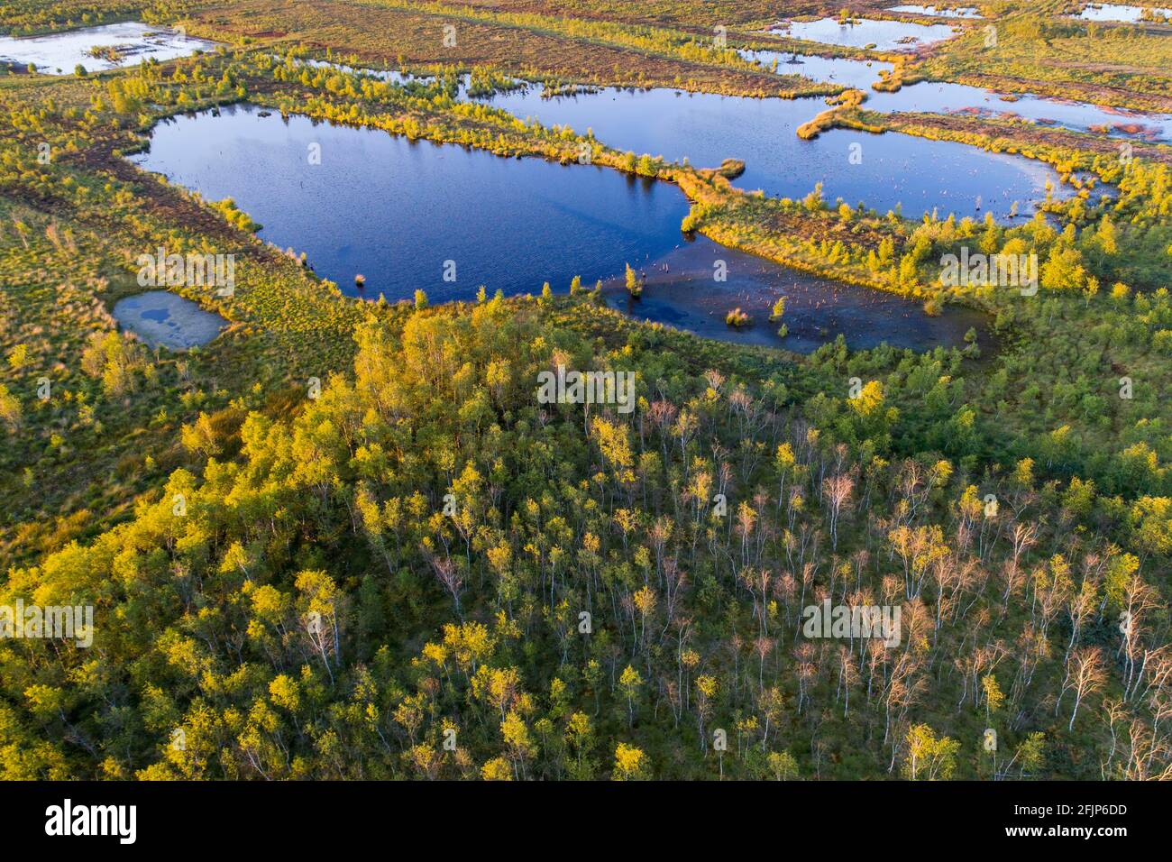 Neustaedter moor hi-res stock photography and images - Alamy