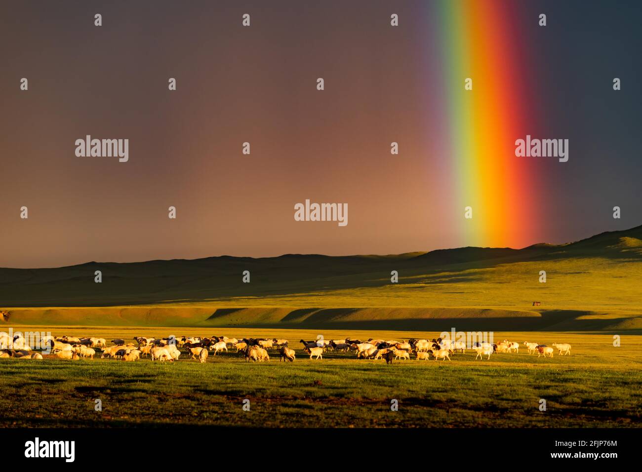Rainbow after a heavy rain, Arkhangai Province, Mongolia Stock Photo ...