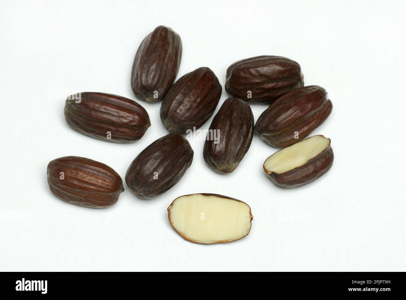Jojoba-Seeds (Simmondsia chinensis Stock Photo - Alamy