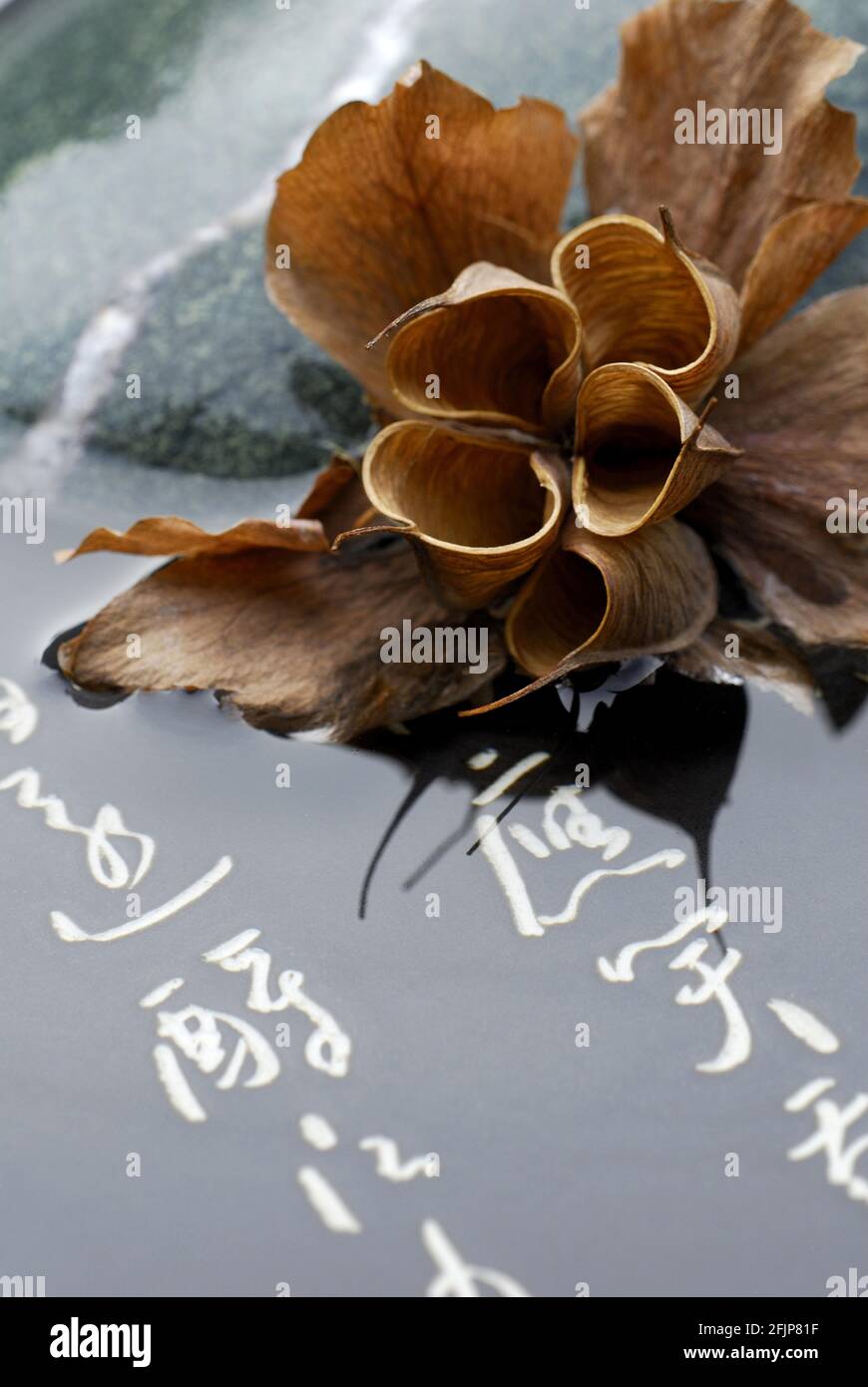 Dried flower, Japanese characters Stock Photo - Alamy