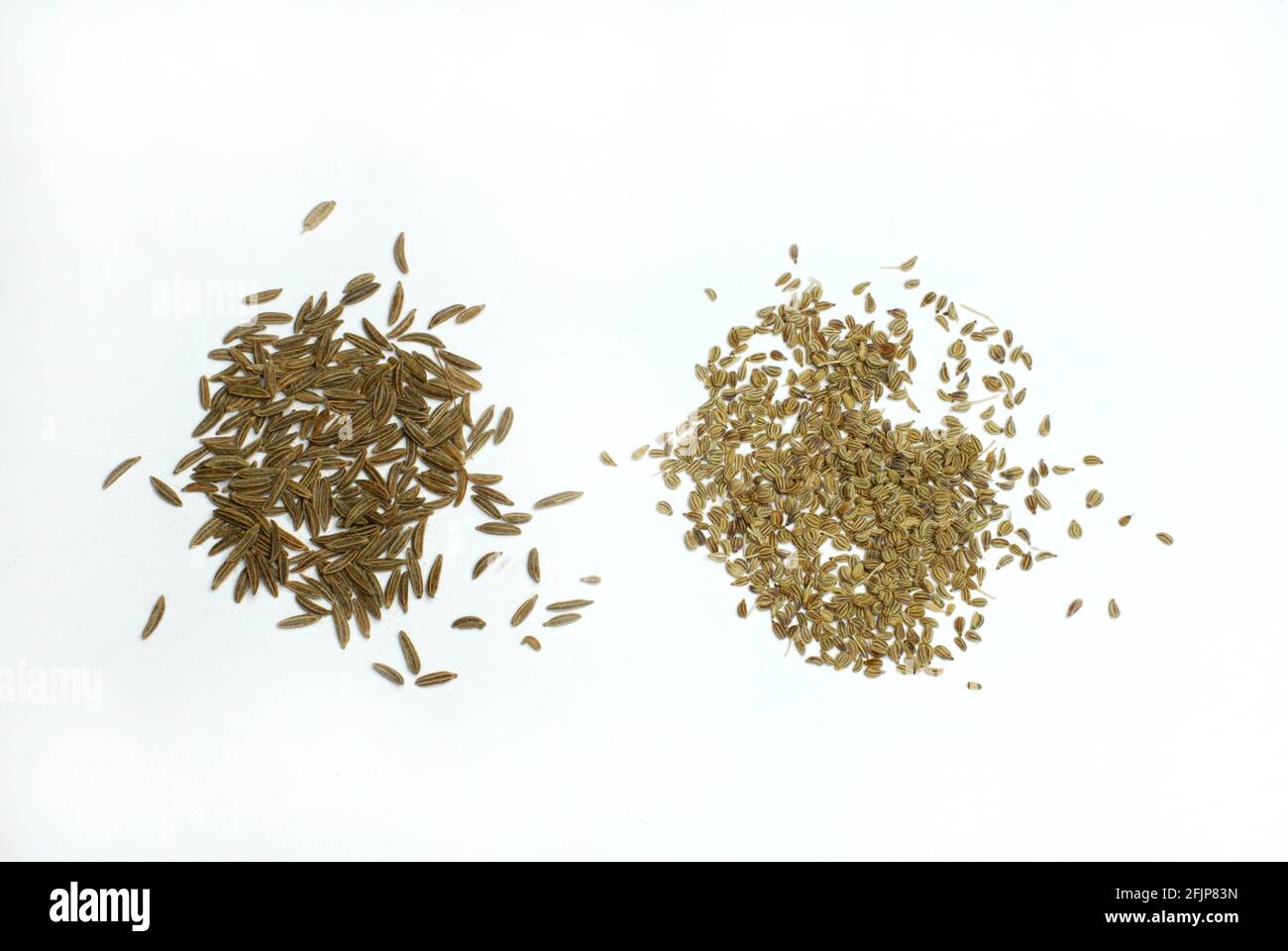 Caraway (Carum carvi) and seeds, seed, seed, king, comparison Stock ...