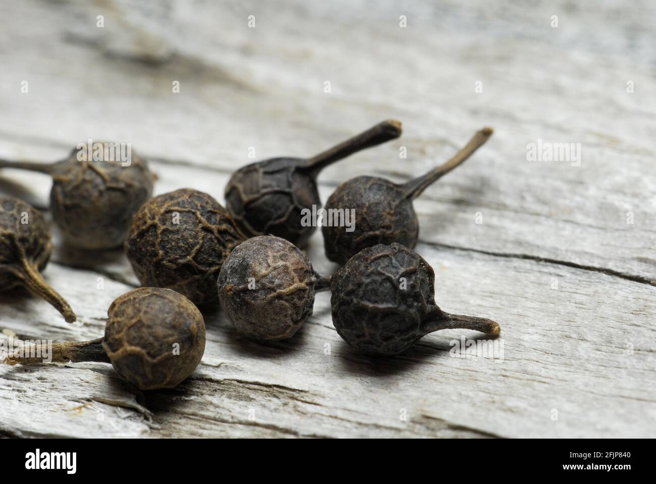 Cubeb pepper (Piper cubeba) , cubeb pepper, cubeb pepper Stock Photo ...