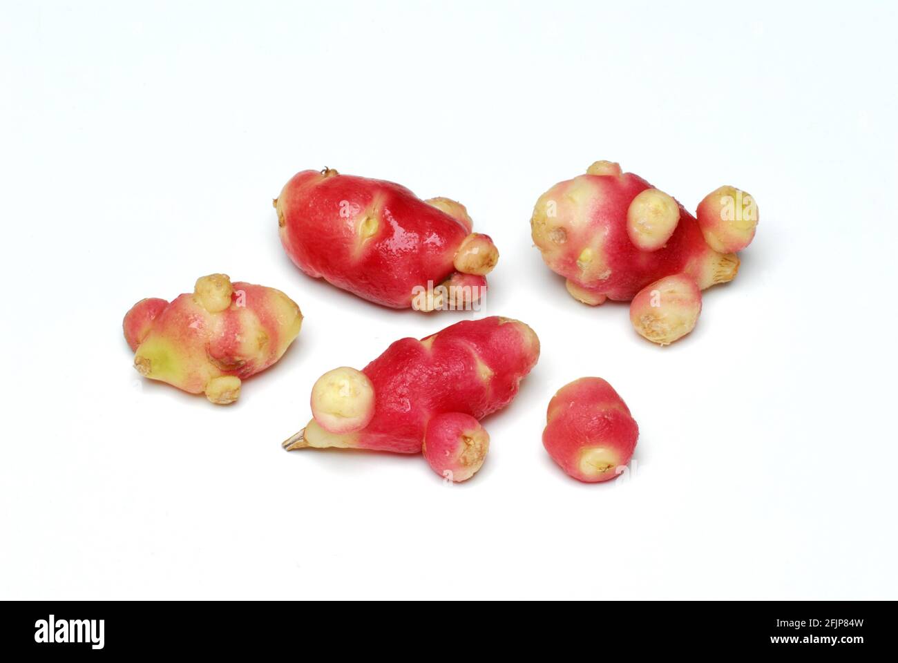 Oca, Oka, Yam, Oca (Oxalis tuberosa), Oca-Cola, Oca-Cola Stock Photo ...