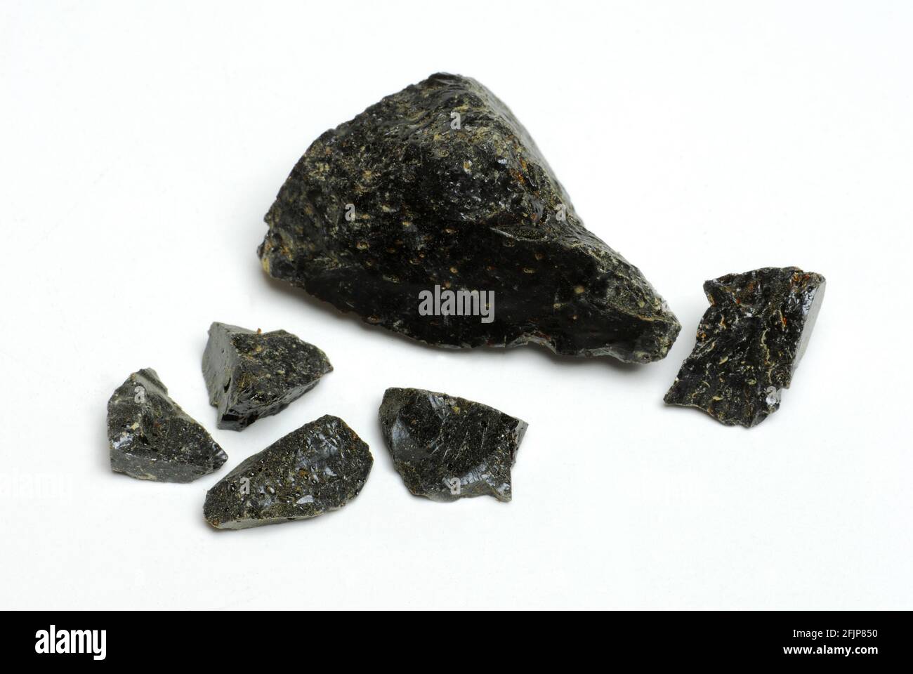 Guaiacum tree (Guaiacum officinale) resin Stock Photo - Alamy