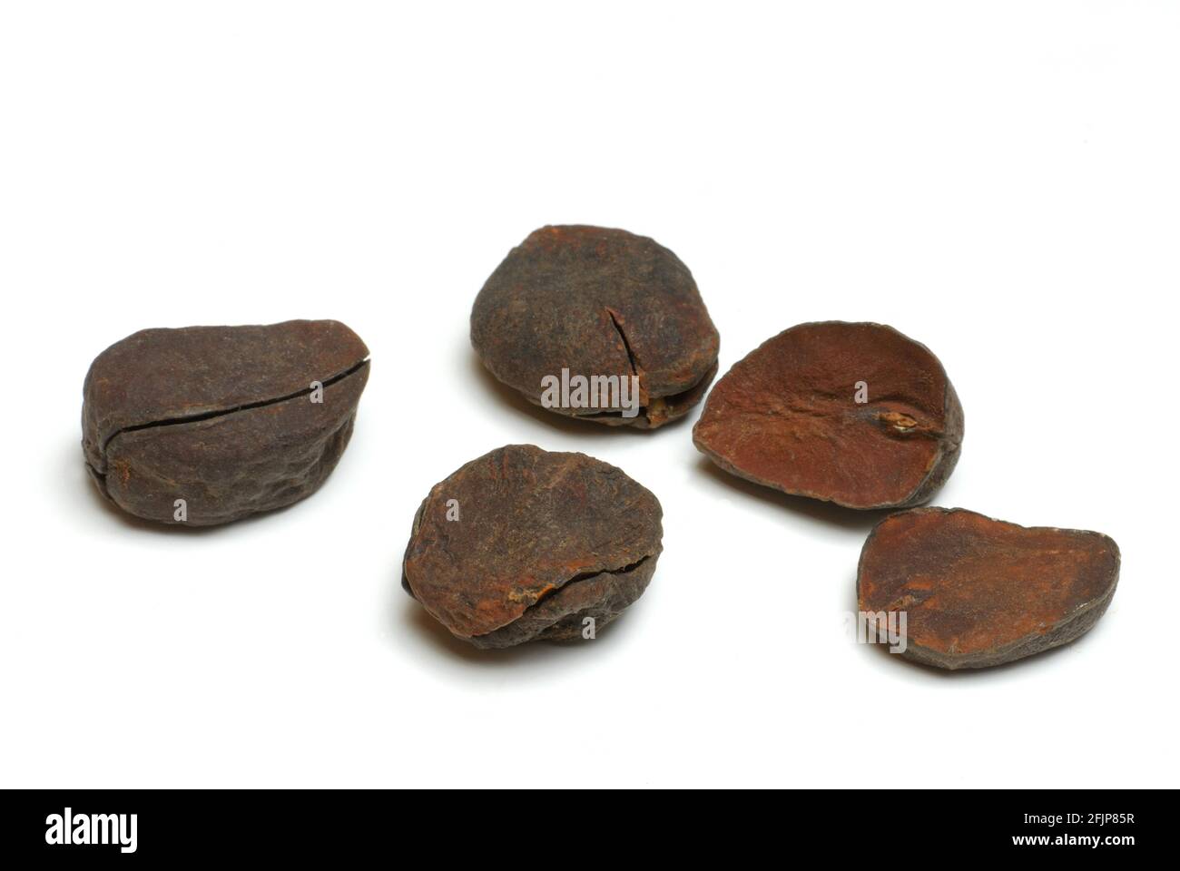 Kola nuts ( Cola nitida Stock Photo - Alamy