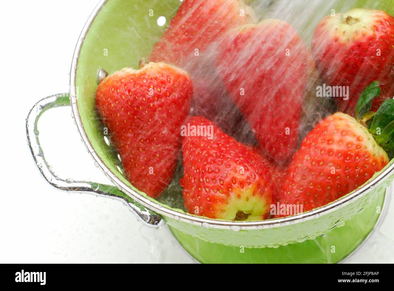 Washing of strawberries in washing sieve (Fragaria x ananassa ...