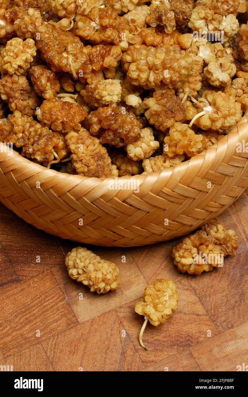 White mulberry (Morus alba) dried fruits, mulberry tree Stock Photo - Alamy