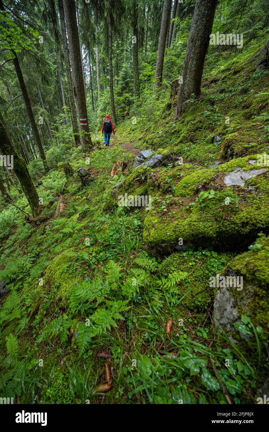 Hiking trail swiss alps in hi-res stock photography and images - Alamy