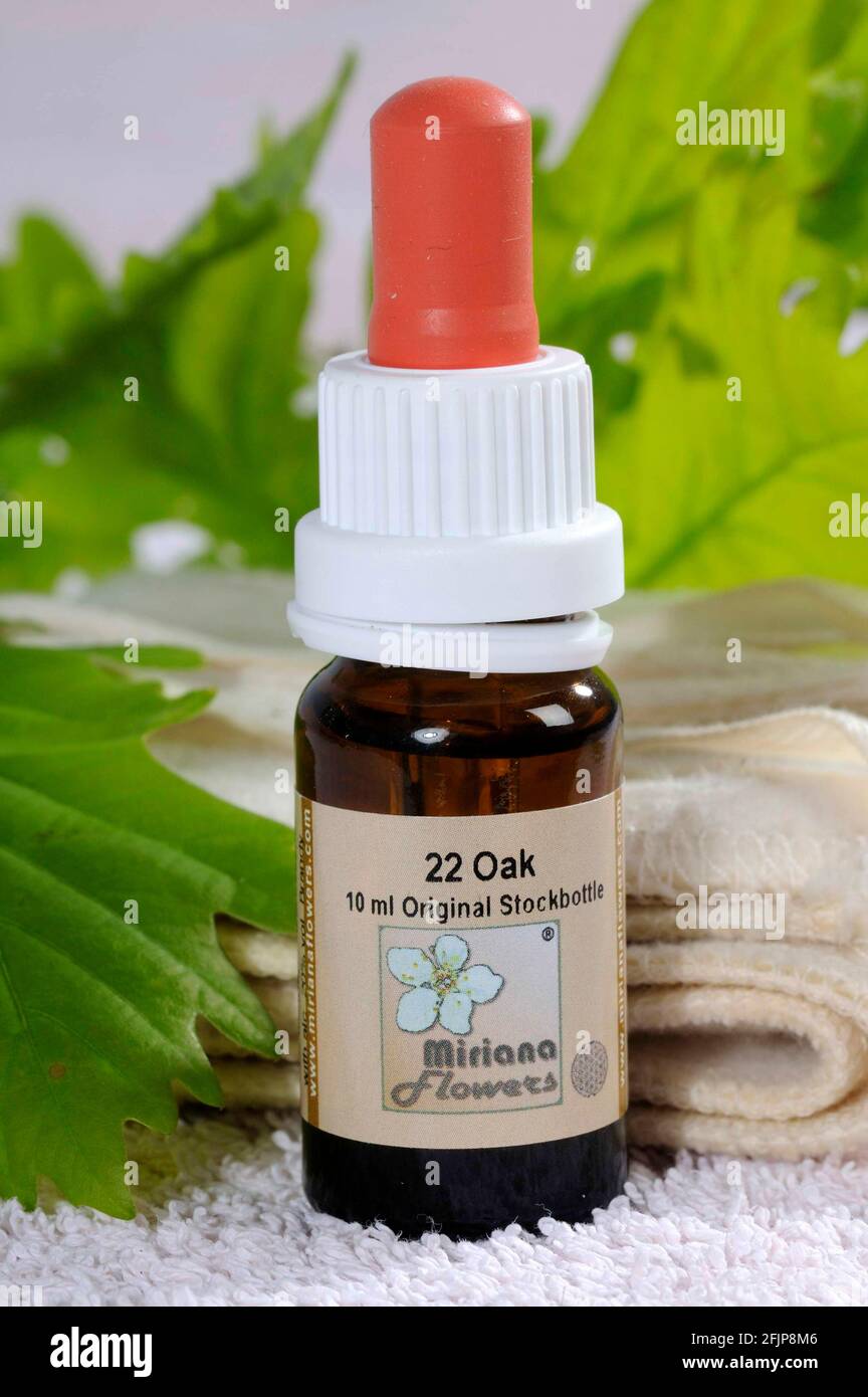 Vials with Bach Flower Drops Oak, Oak, Bach Flowers, Bach Flower ...