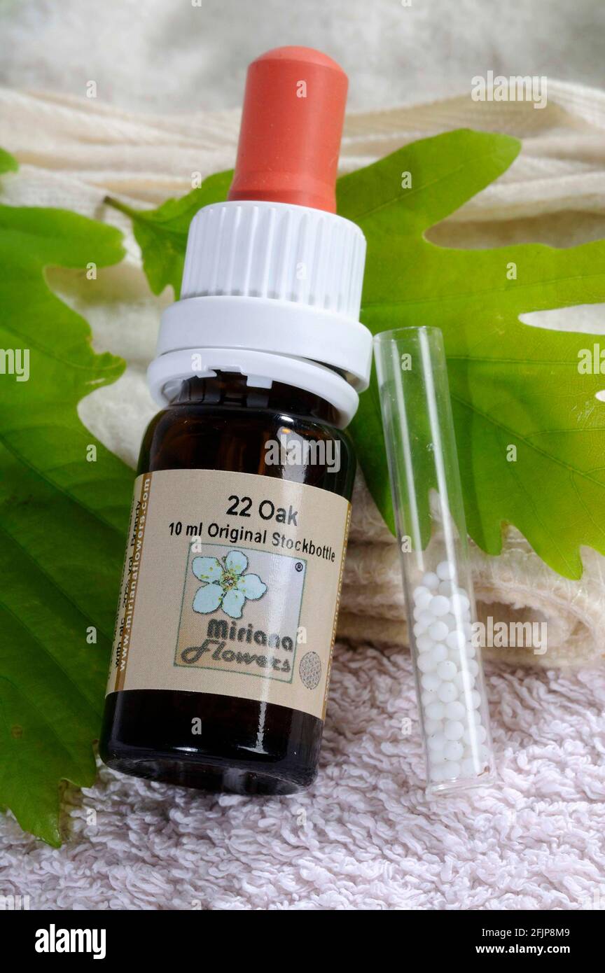 Bottle with Bach Flower Drops Oak' and globules, oak, Bach Flowers ...