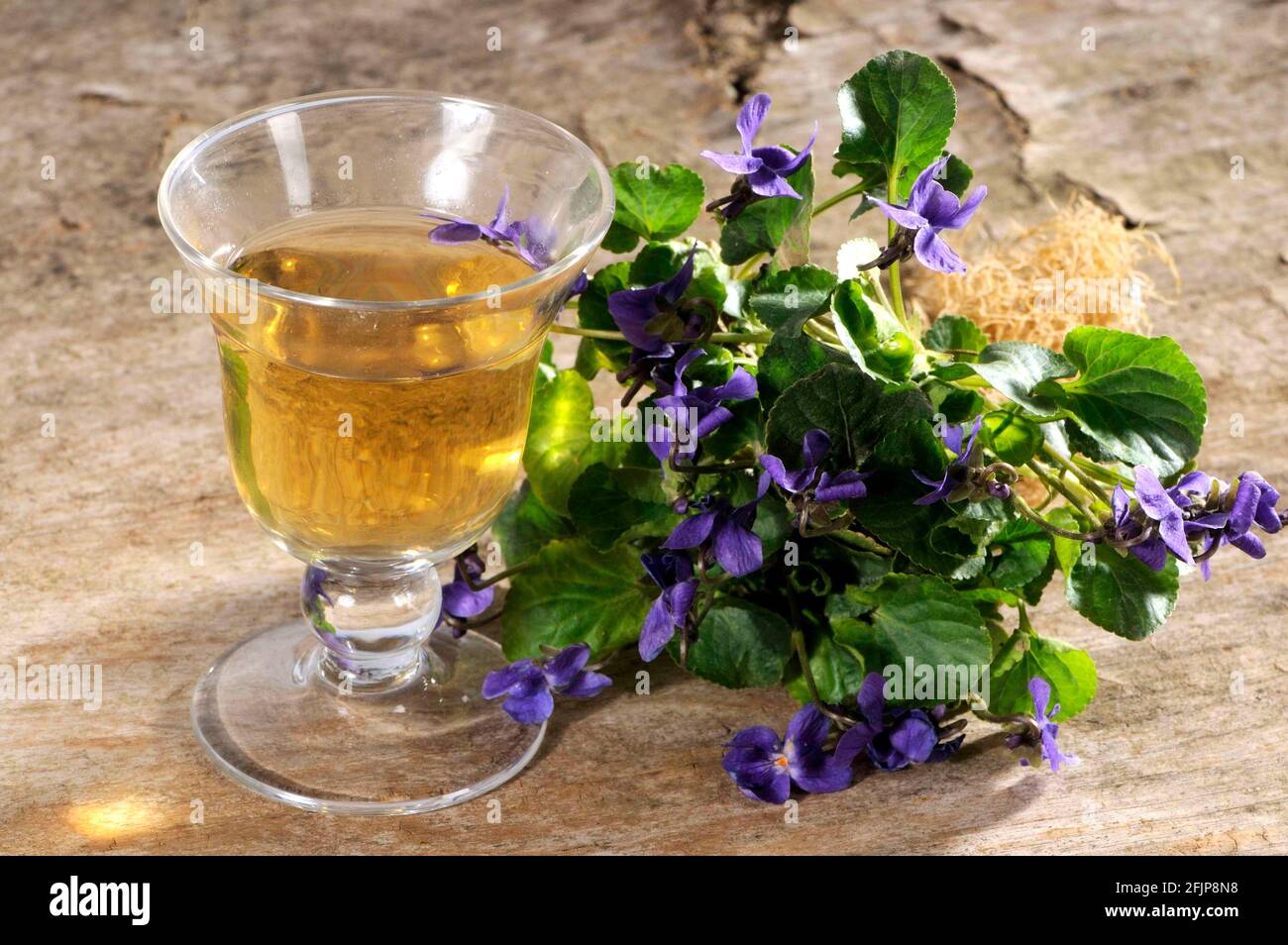 Glass of violet wine, fragrant violet (Viola odorata), sweet violet ...