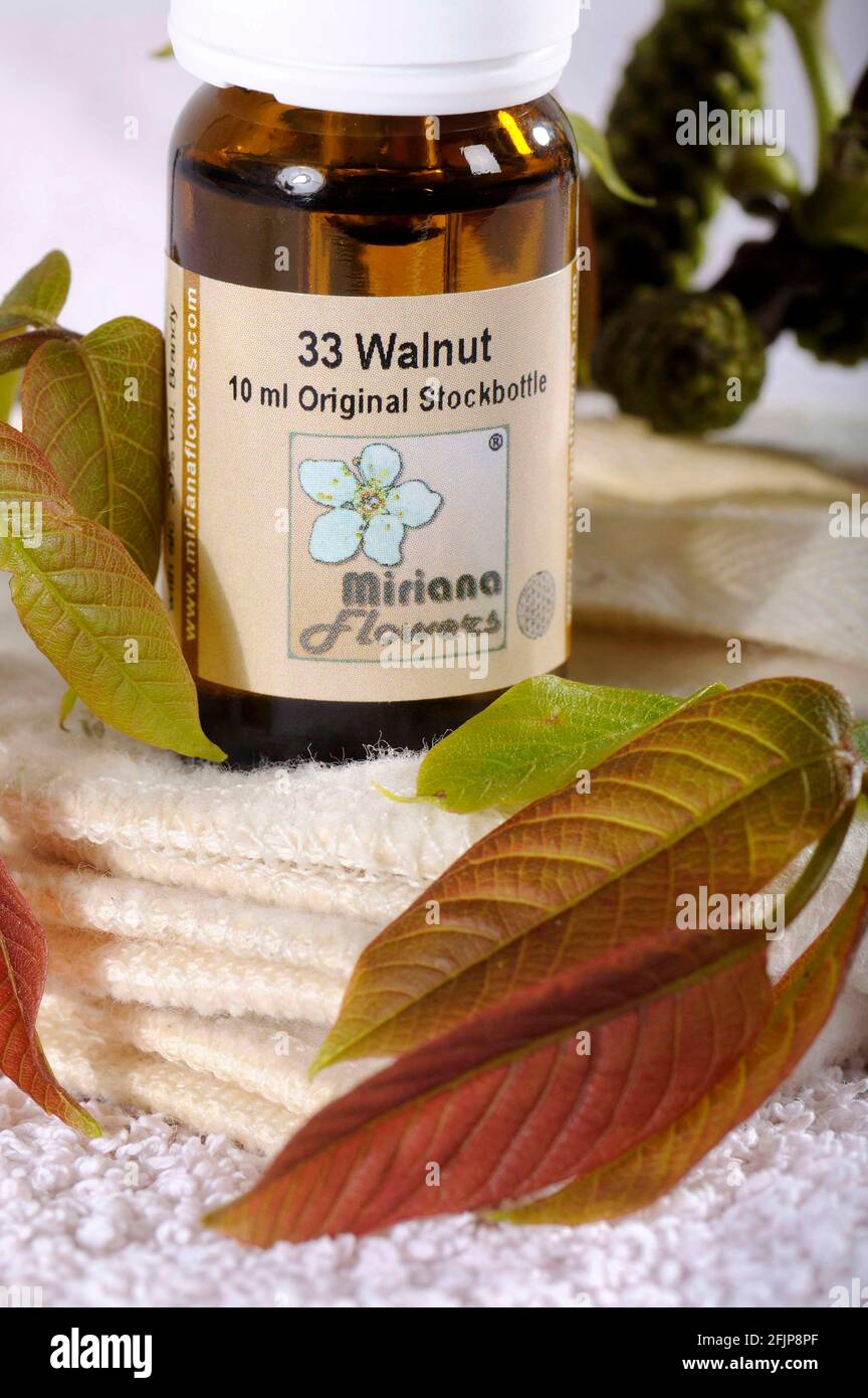 Bottle with Bach flower drops, walnut (Juglans regia), Bach flower ...