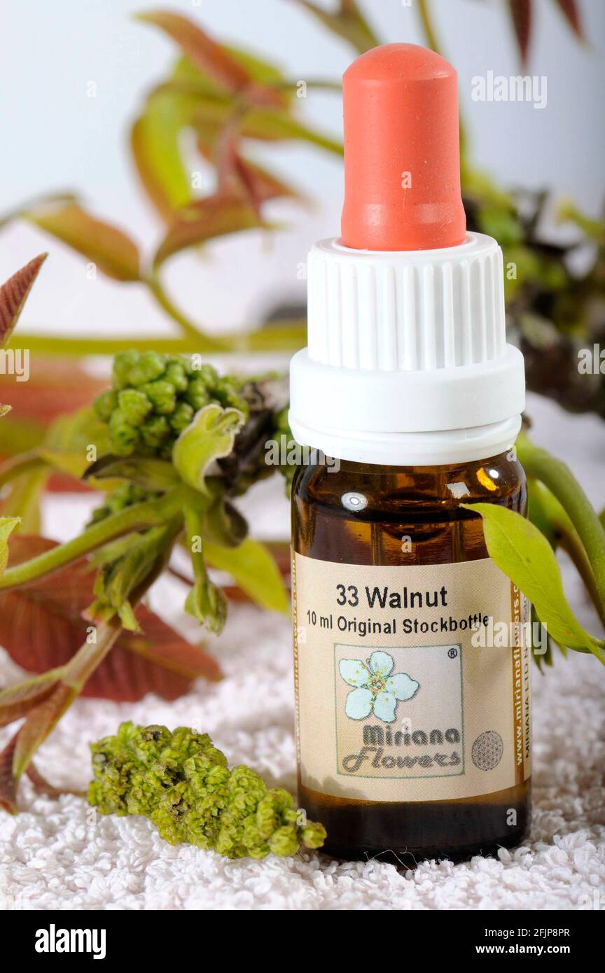 Bottle with Bach flower drops, walnut (Juglans regia), Bach flower ...