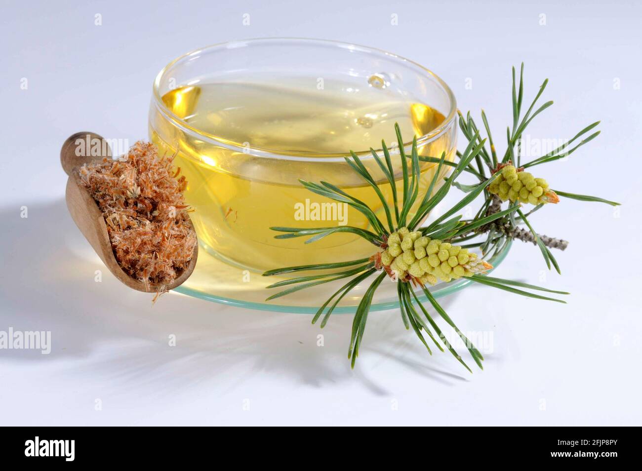 Cup of pine sprout tea (Pinus silvestris Stock Photo - Alamy