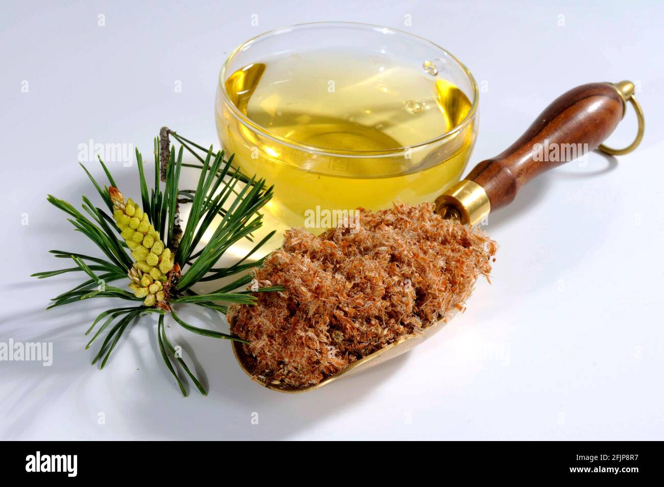 Cup of pine sprout tea (Pinus silvestris Stock Photo - Alamy