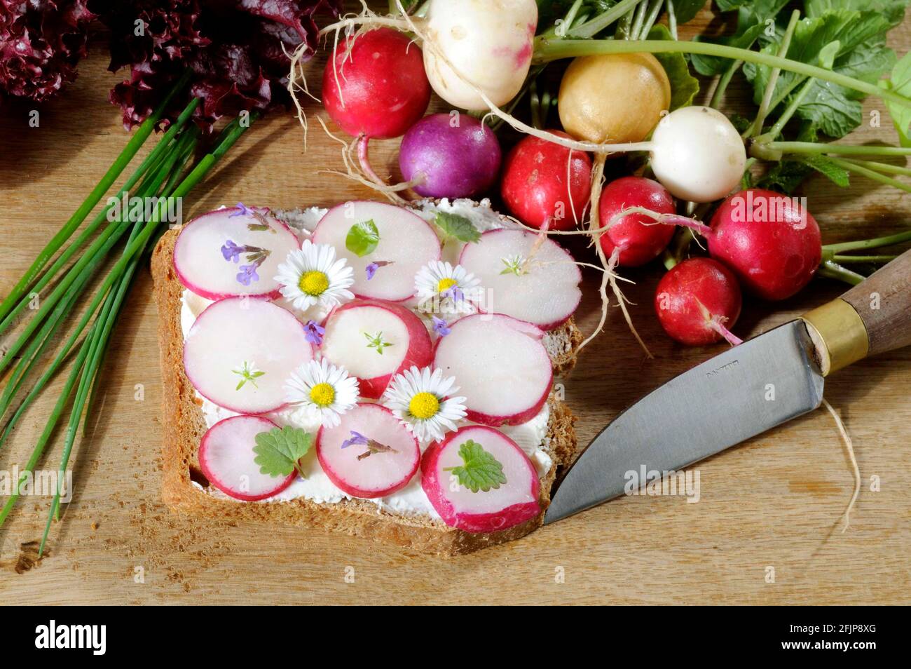 Slice of bread with radish (Raphanus sativus sativus), radish bread ...