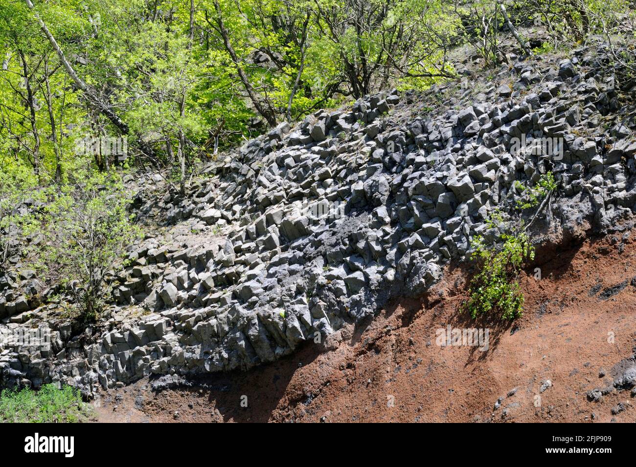 Basalt, basalt prismatic wall, Rhoen Biosphere Reserve, Bavaria ...