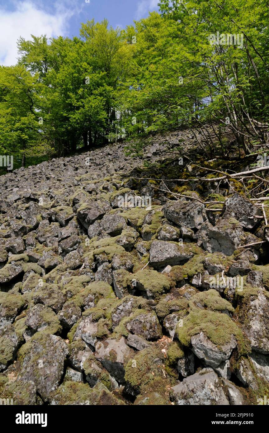 Basalt, basalt prismatic wall, Rhoen Biosphere Reserve, Bavaria ...
