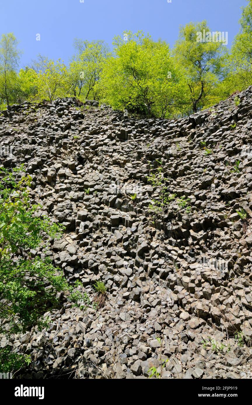 Basalt, basalt prismatic wall, Rhoen Biosphere Reserve, Bavaria ...